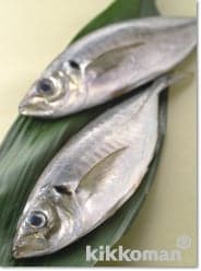 Aji/horse mackerel | Glossary | Kikkoman Corporation