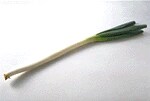 Negi/Japanese long onion | Glossary | Kikkoman Corporation