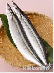 Sanma/pacific saury | Glossary | Kikkoman Corporation