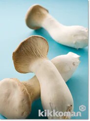 Eringi mushrooms | Glossary | Kikkoman Corporation