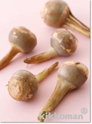 Kuwai/arrowhead tuber | Glossary | Kikkoman Corporation