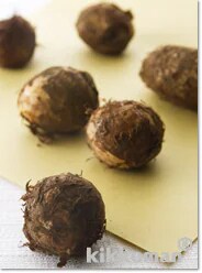 Satoimo/Japanese taro | Glossary | Kikkoman Corporation
