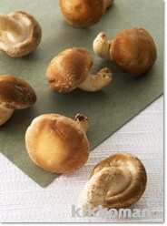Shiitake mushrooms | Glossary | Kikkoman Corporation