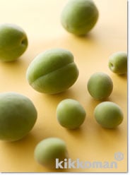 Ume/Japanese apricots | Glossary | Kikkoman Corporation